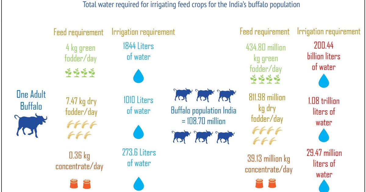 How is India's meat industry impacting the environment? - IndiaBioscience