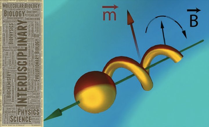 Magnetic Nanomotors: “nano-voyagers” inside cells - IndiaBioscience