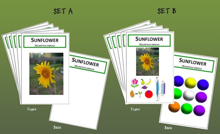 Botanical Tree-Thinking: a card game to teach plant evolution ...
