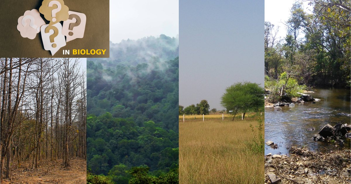 Common misconceptions in biology: What are habitats, microhabitats and ...