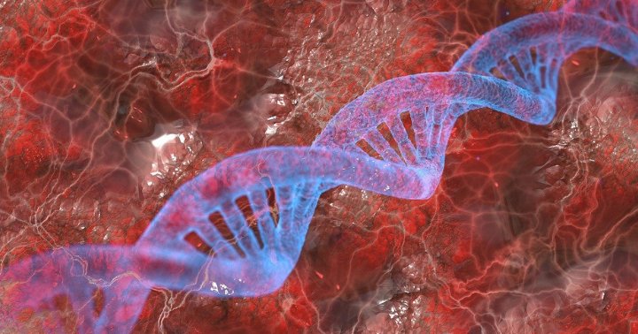 Free-floating DNA in precision medicine - IndiaBioscience