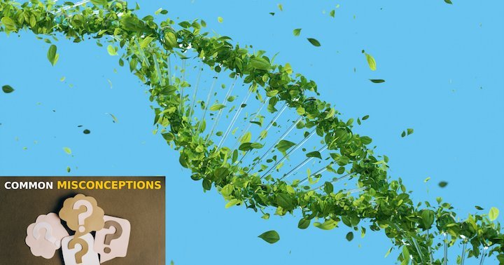 Common misconceptions in biology: Making sense of the sense and ...