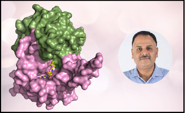 How do cells edit mistakes? A neglected enzyme sheds light ...