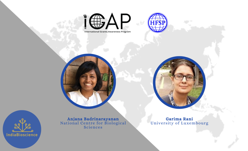 Columns - IndiaBioscience