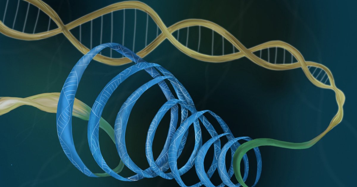 Unwinding the genome-wide supercoiling patterns of DNA - IndiaBioscience