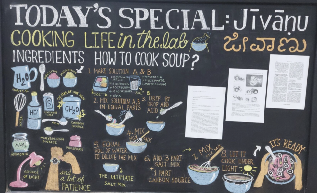 Can Jeewanu particles provide some clues about the origins of life ...