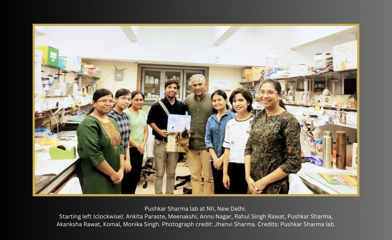 How does malaria-causing parasite infect human red blood cells ...