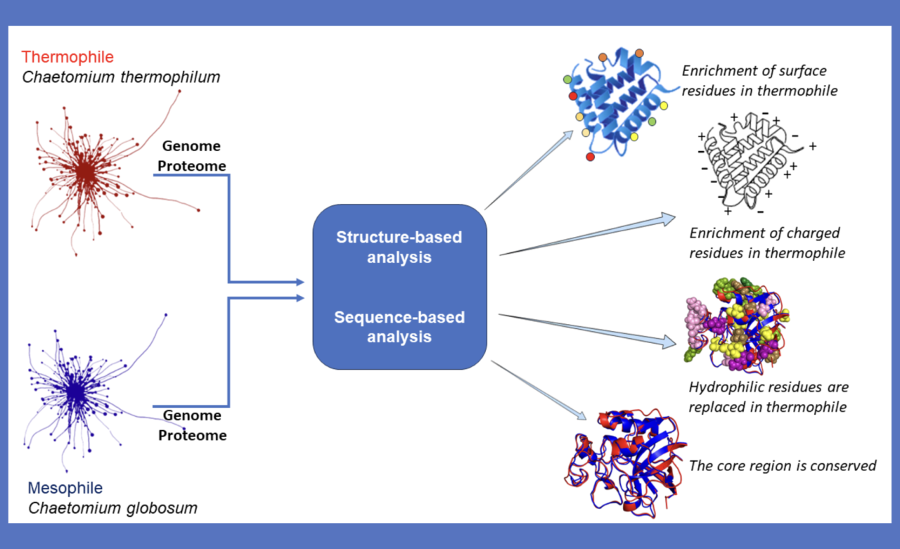 Fungal adaptation in extreme temperatures - IndiaBioscience