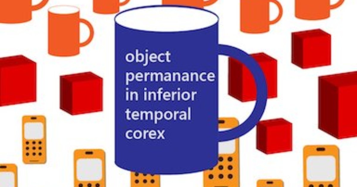 Object Permanence In Inferotemporal Cortex Indiabioscience