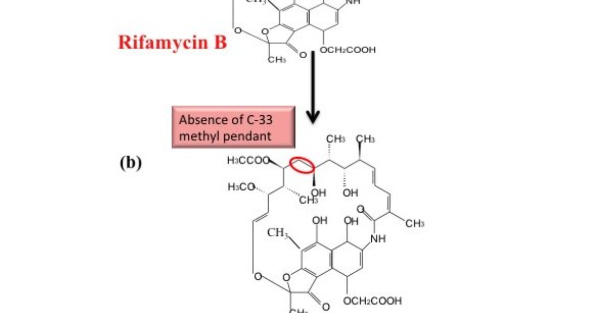 Overcoming bottlenecks – a new antibiotic analog to treat Tuberculosis ...