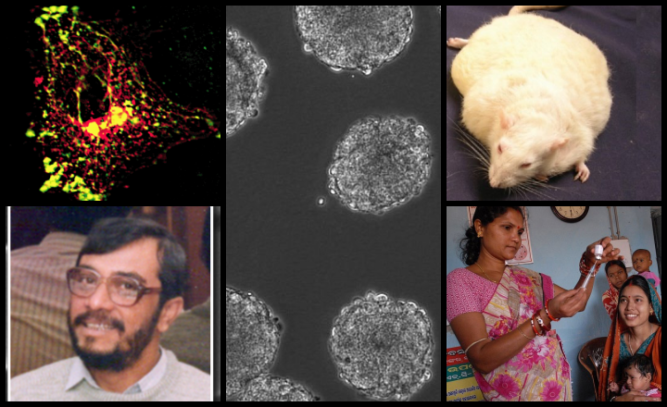 IndiaBioscience Newsletter - April 2019 - IndiaBioscience