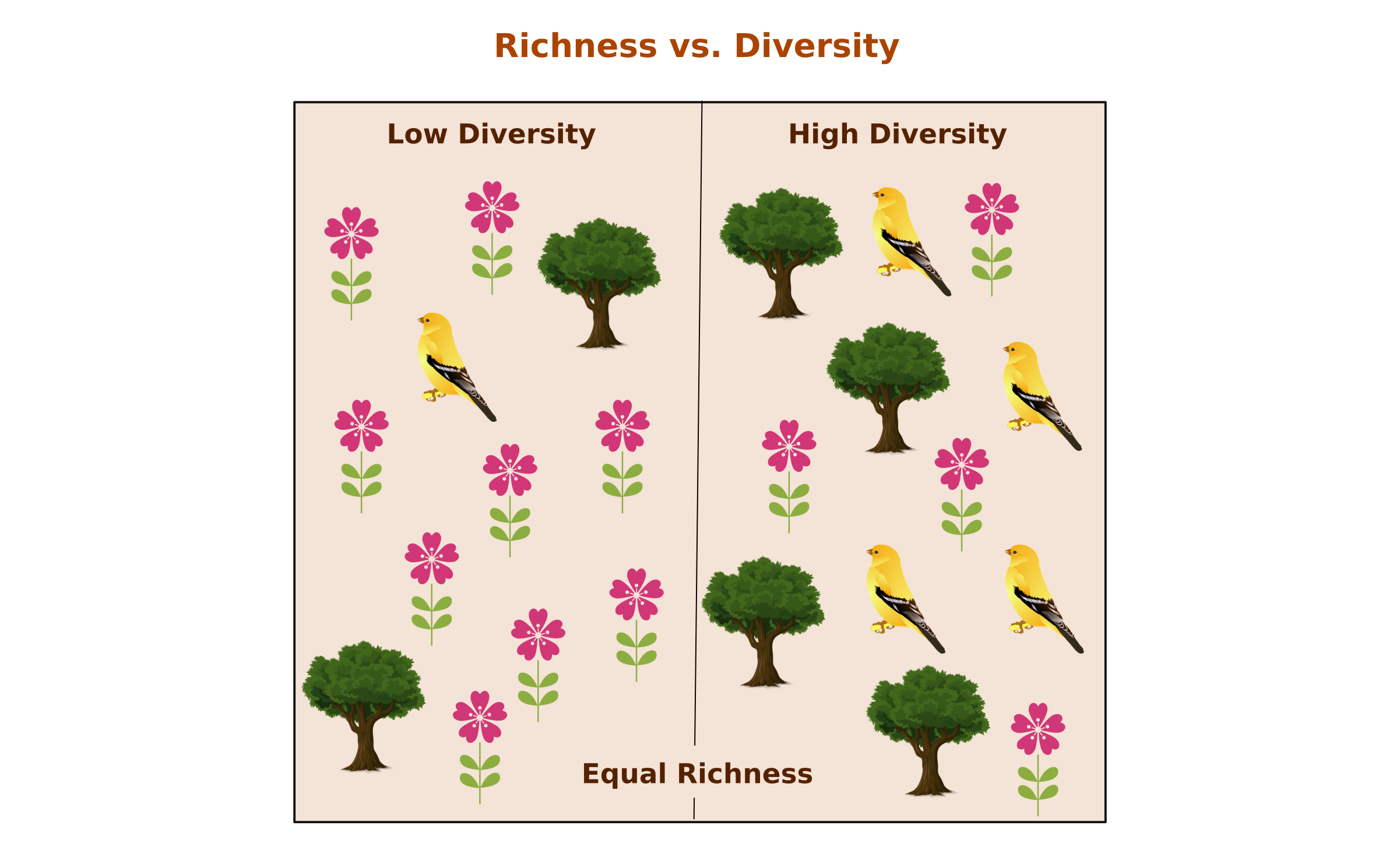 Common Misconceptions In Biology Species Richness And Diversity Are